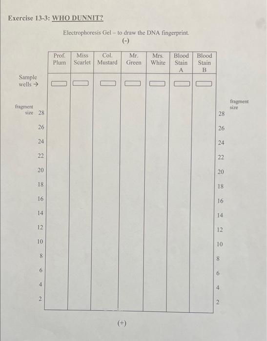 Solved Exercise 13-3: Who Dunnit? Follow the procedure of | Chegg.com