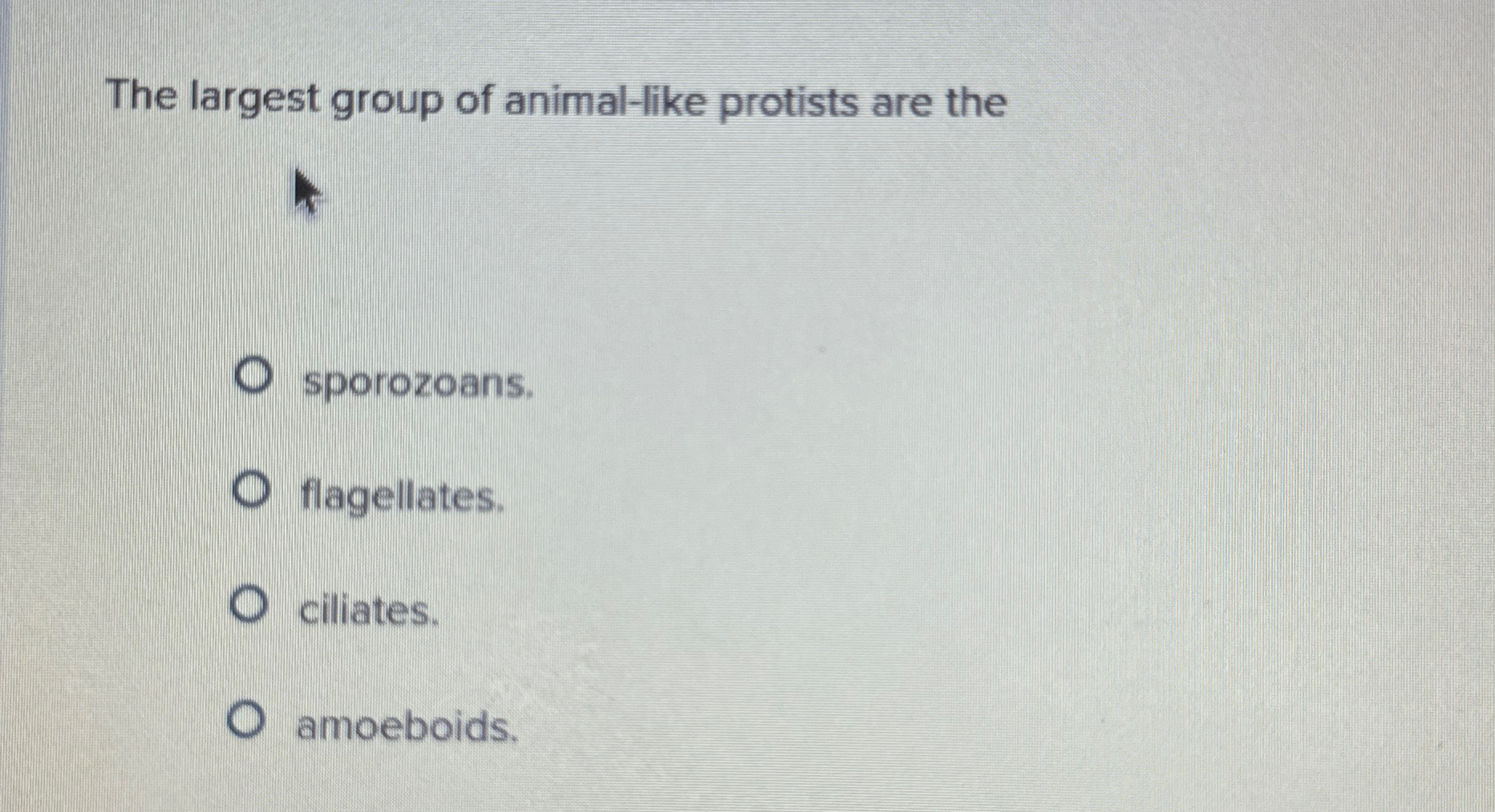 Solved The largest group of animal-like protists are | Chegg.com