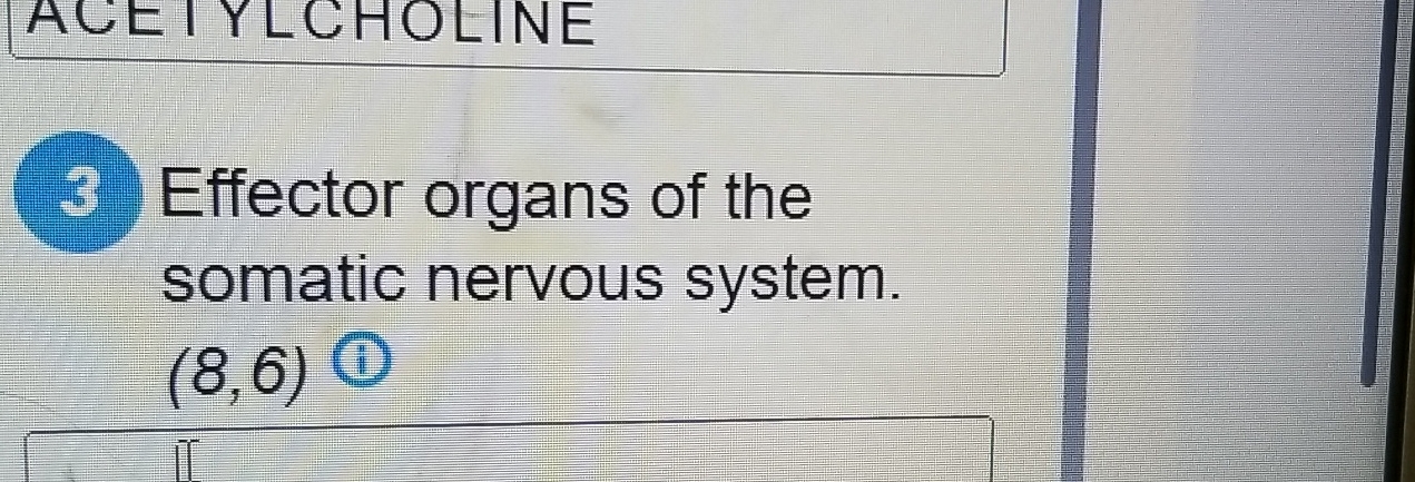 Solved ACEMYLCHOLINE ﻿Effector organs of the somatic | Chegg.com