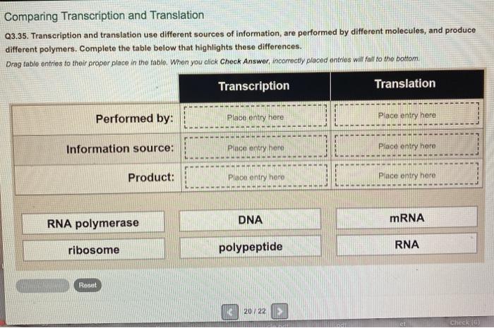 Solved Comparing Transcription and Translation Q3.35. | Chegg.com
