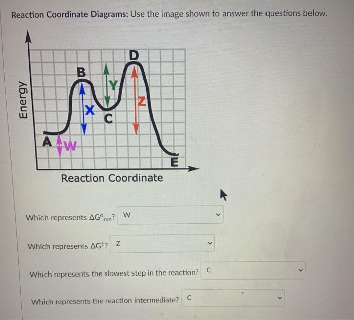 Solved Reaction Coordinate Diagrams: Use the image shown to | Chegg.com
