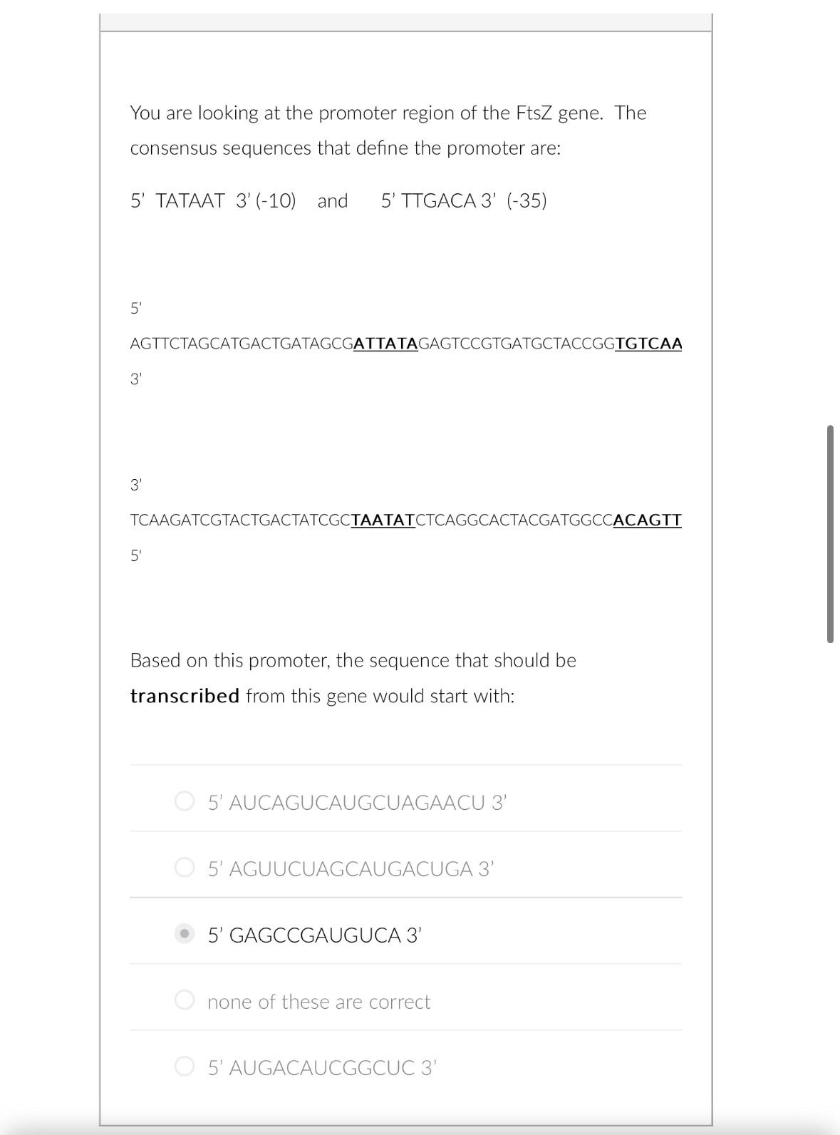 Solved You are looking at the promoter region of the FtsZ | Chegg.com