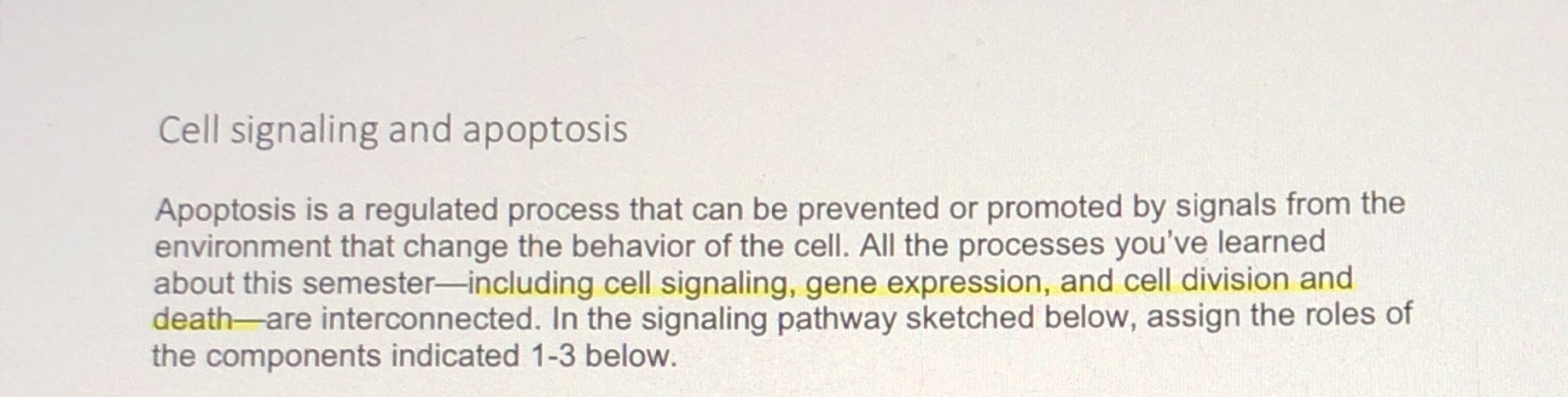 Solved Cell signaling and apoptosisApoptosis is a regulated | Chegg.com