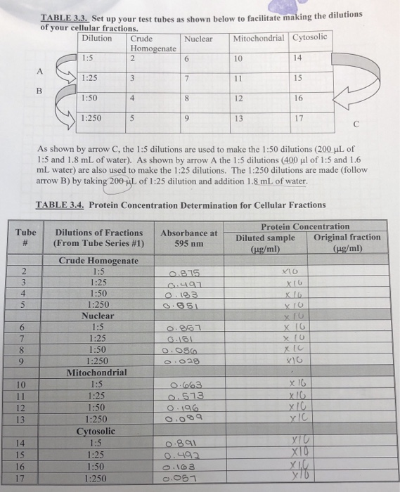 TABLE 3.3. Set up your test tubes as shown below to | Chegg.com