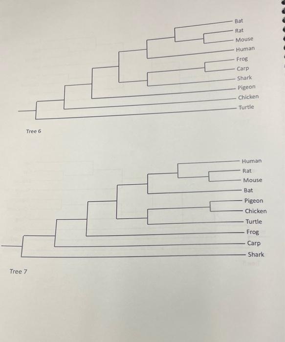 Solved Lab Activity: Disprovable Trees There ane 10 | Chegg.com