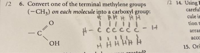 Solved 12 6. Convert one of the terminal methylene groups | Chegg.com