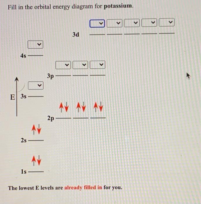 Solved Fill in the orbital energy diagram for potassium.