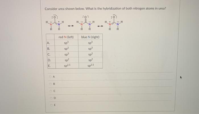 Solved Consider urea shown below. What is the hybridization | Chegg.com