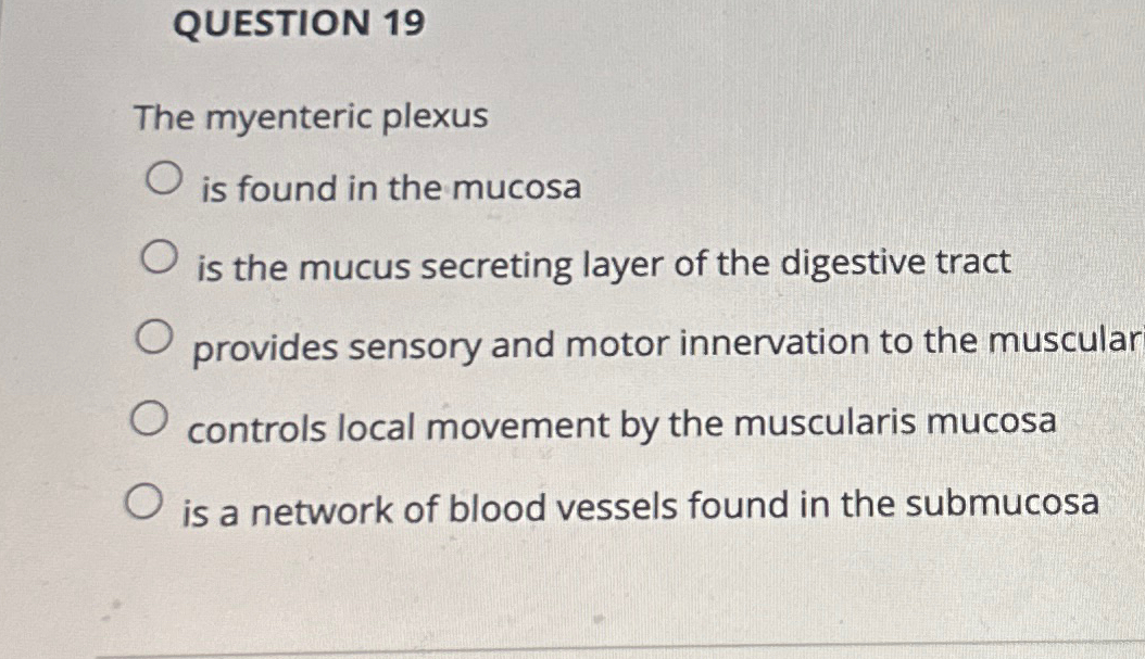 Solved QUESTION 19The myenteric plexusis found in the | Chegg.com