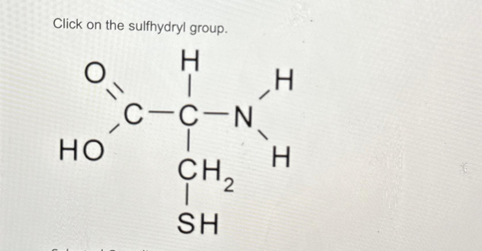 Solved Click on the sulfhydryl group. | Chegg.com