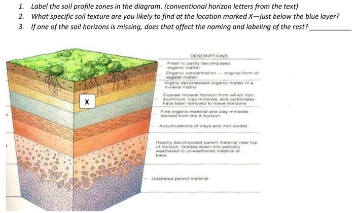 Solved 1. Label the soil profile zones in the diagram. | Chegg.com