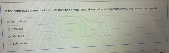 Solved If the contractile element of a muscle fiber had a | Chegg.com