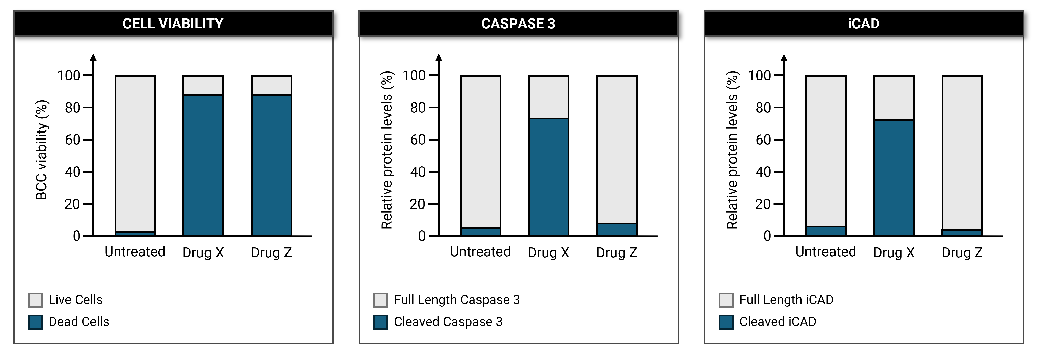 Solved The patient commences chemotherapy and is prescribed | Chegg.com