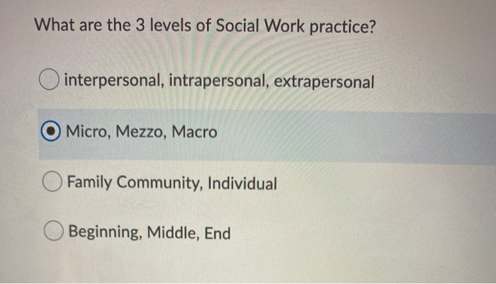 Solved What are the 3 levels of Social Work practice? | Chegg.com