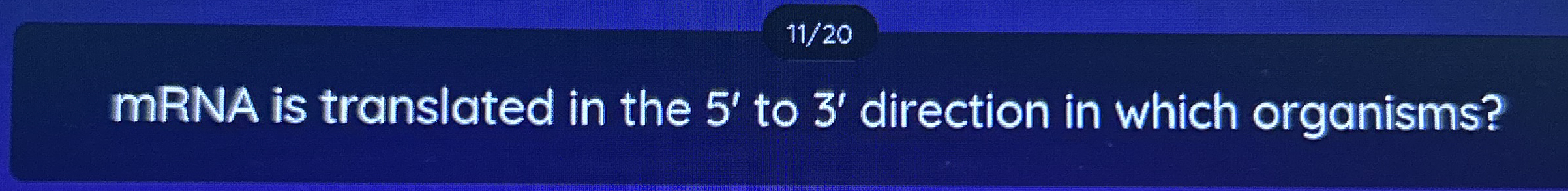 mRNA is translated in the 5' ﻿to 3' ﻿direction in | Chegg.com