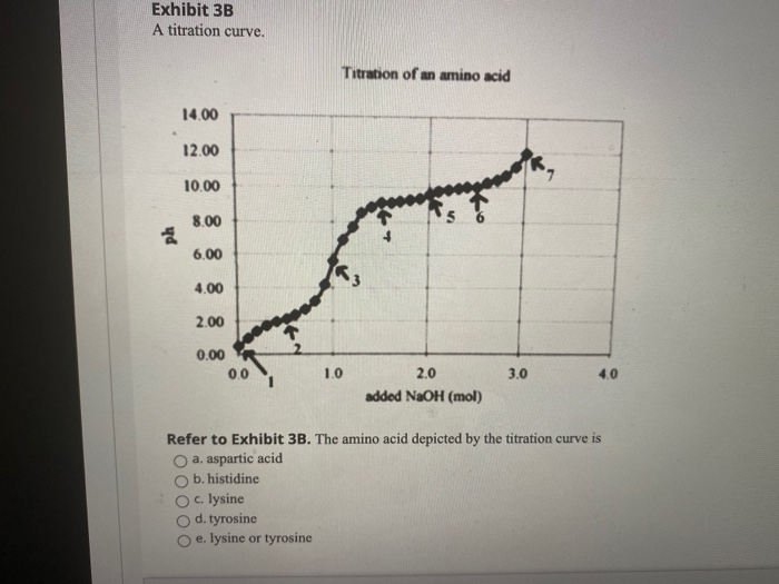 Solved Exhibit 3B A titration curve. Titration of an amino | Chegg.com