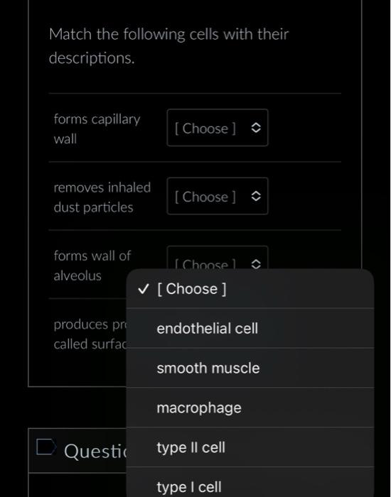 Solved Match the following cells with their descriptions. | Chegg.com