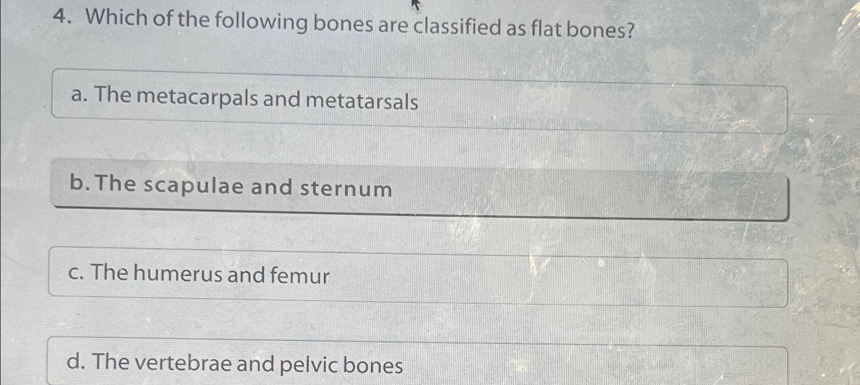 Solved Which of the following bones are classified as flat | Chegg.com