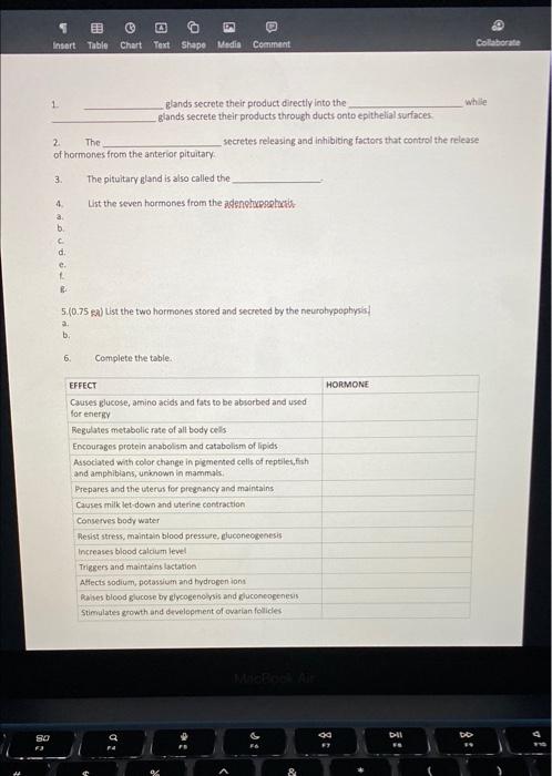 Solved RE Insert Table Chart Text Shape Media Comment | Chegg.com