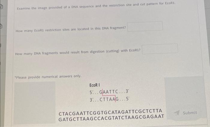 Solved Examine the image provided of a DNA sequence and the | Chegg.com