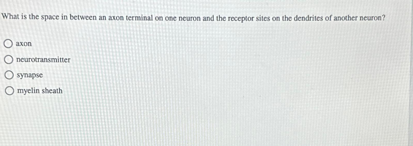 Solved What is the space in between an axon terminal on one | Chegg.com