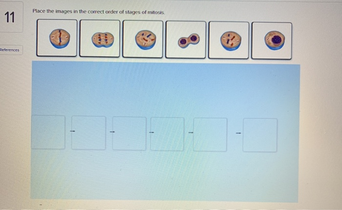 Solved Place the images in the correct order of stages of | Chegg.com