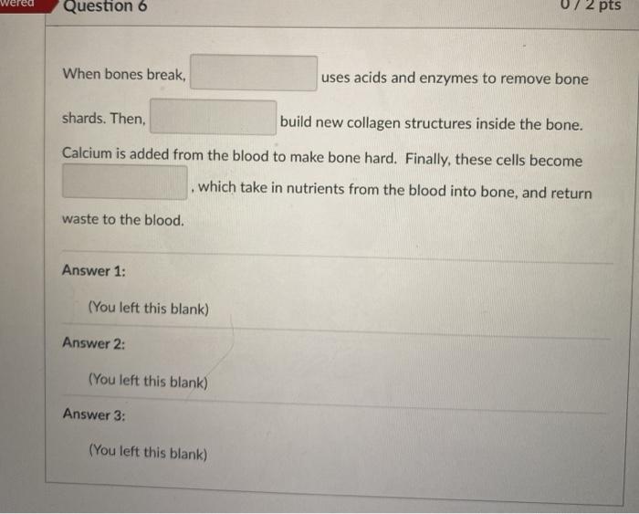 orrect Question 4 0 / 1 pts What tissue, attached to | Chegg.com