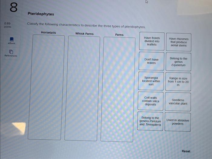 Solved Classify the following characteristics to describe | Chegg.com