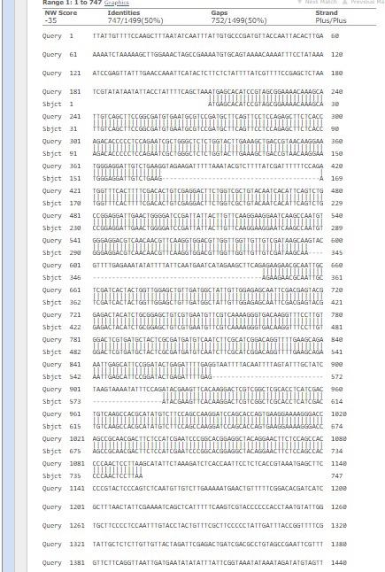 Solved How does the result from local alignment differ from | Chegg.com