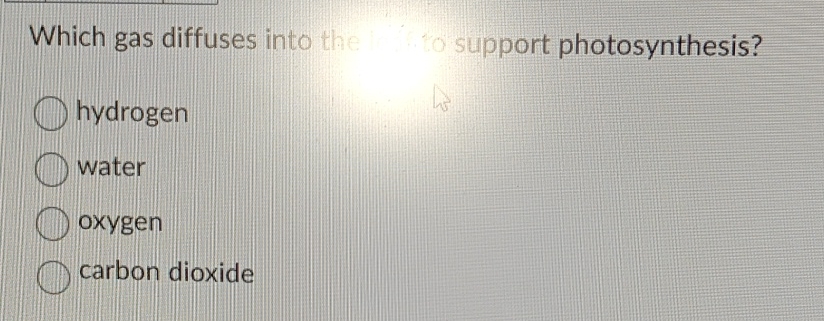 Solved Which gas diffuses into the support | Chegg.com