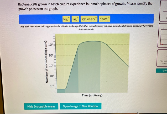 Solved Bacterial cells grown in batch culture experience | Chegg.com