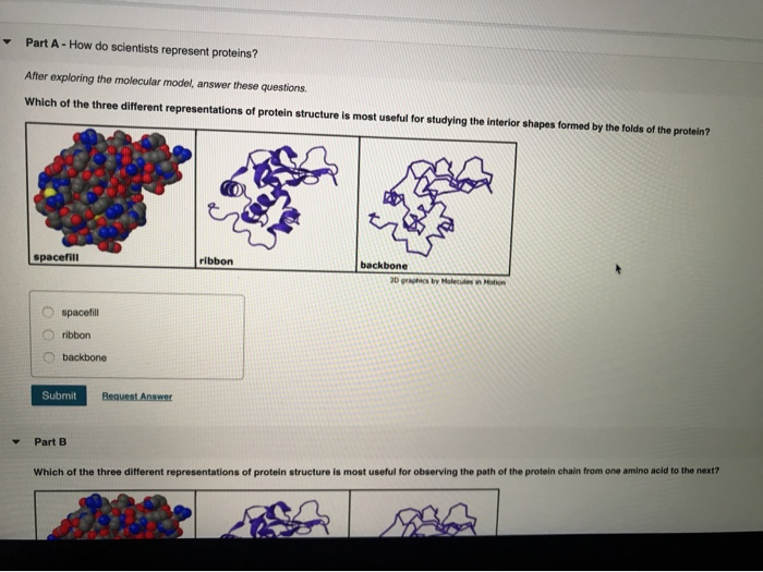 Solved Part A - How do scientists represent proteins? After | Chegg.com