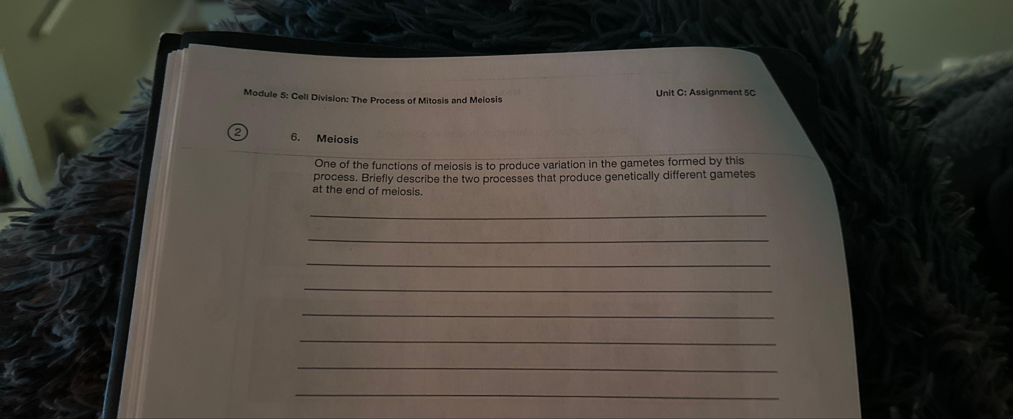 Solved Module 5: Cell Division: The Process of Mitosis and | Chegg.com