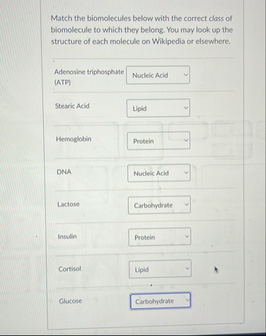 Solved Match the biomolecules below with the correct class | Chegg.com