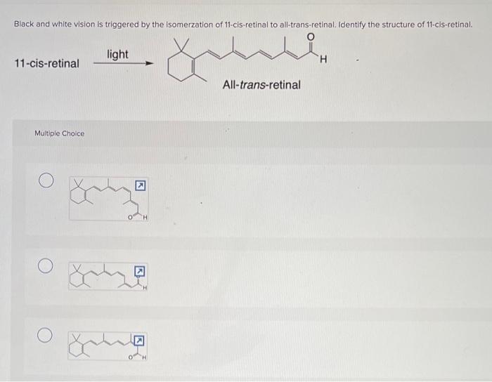 Solved Black and white vision is triggered by the | Chegg.com