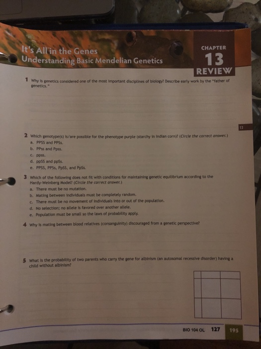 Solved It's All in the Genes CHAPTER Understanding Basic | Chegg.com