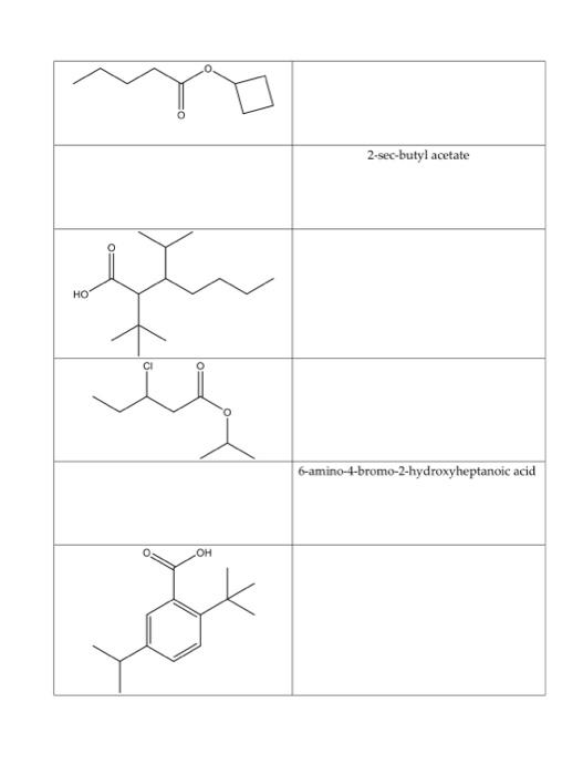 Solved Name Date CHEM&131 Carboxylic acids, esters, amines | Chegg.com