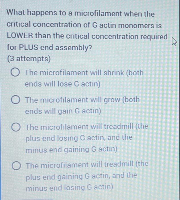 Solved at happens to a microfilament when the ical | Chegg.com