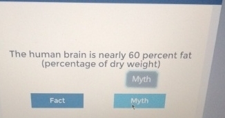 Solved The human brain is nearly 60 ﻿percent fat (percentage | Chegg.com