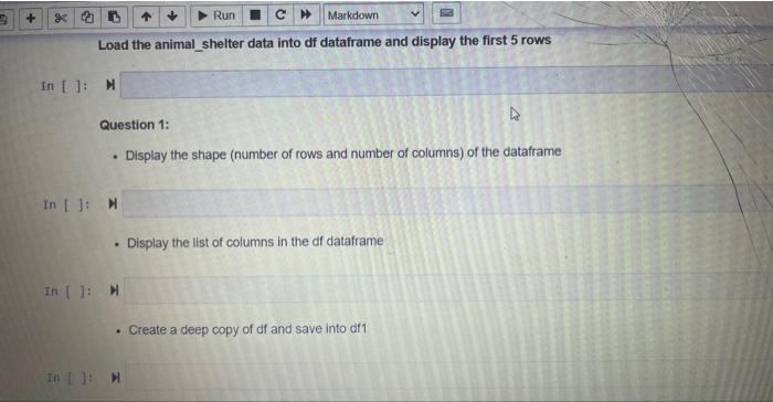 Solved Load the animal_shelter data into df dataframe and | Chegg.com