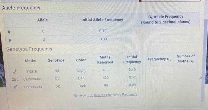 Solved Is this the correct phenotype frequency? Environment: | Chegg.com