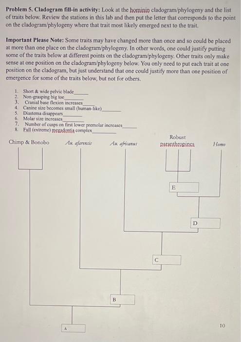 Problem 5. Cladogram fill-in activity: Look at the | Chegg.com