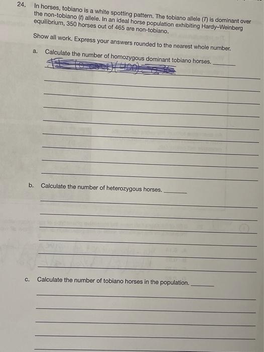 Solved Please answer with a typed out question as I have | Chegg.com