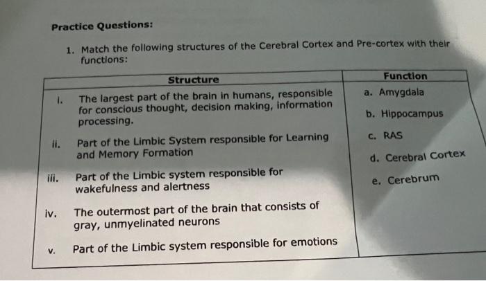 Solved Practice Questions: 1. Match the following structures | Chegg.com