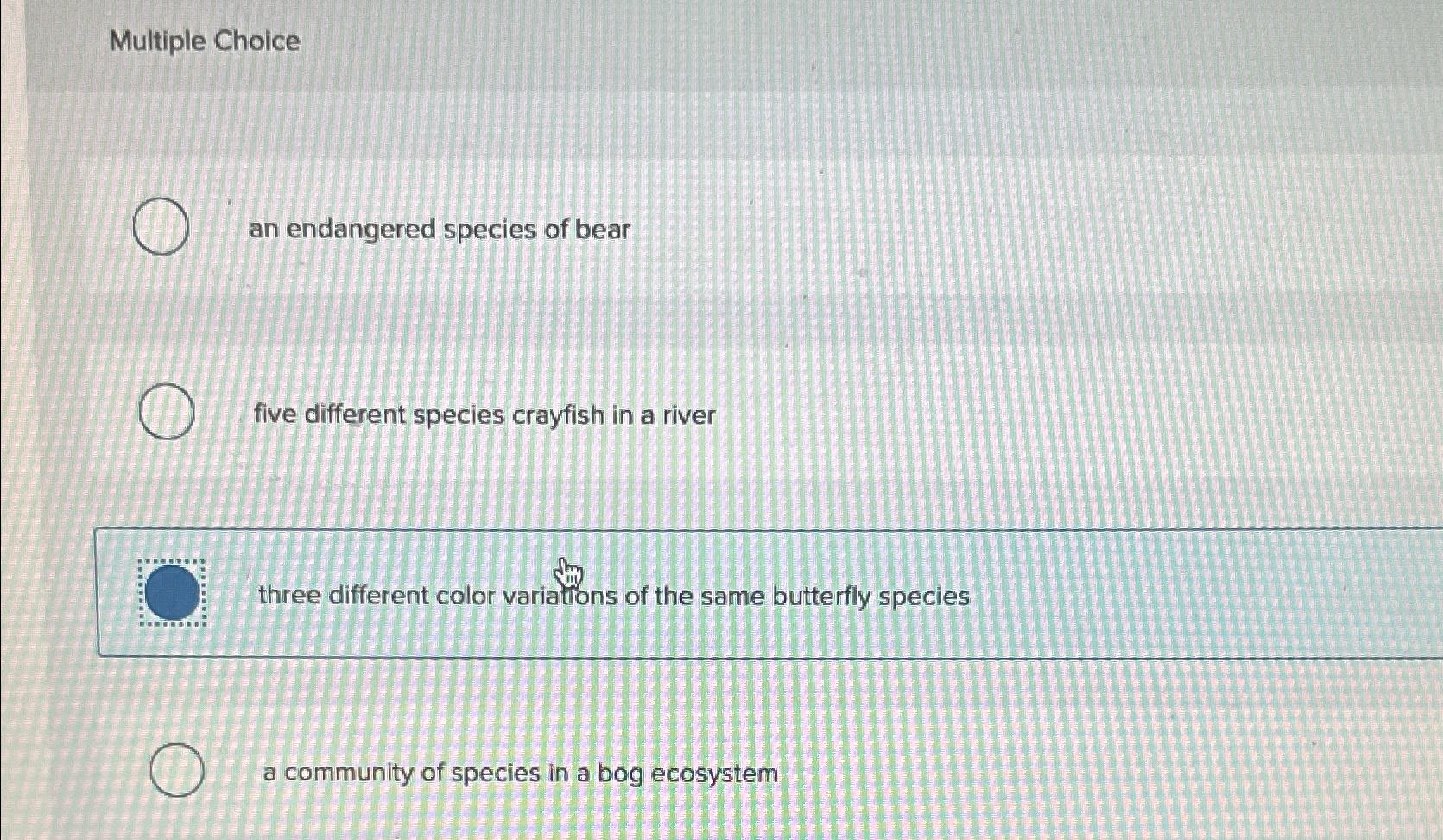 Solved Multiple Choicean endangered species of bearfive | Chegg.com