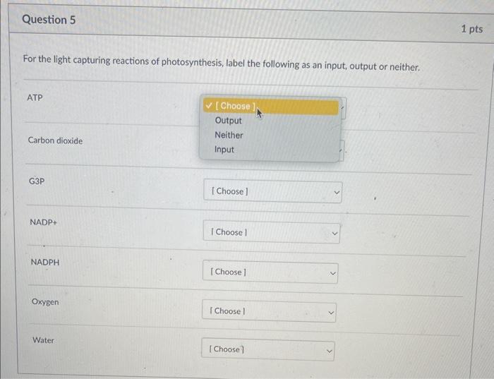 Solved For the light capturing reactions of photosynthesis, | Chegg.com
