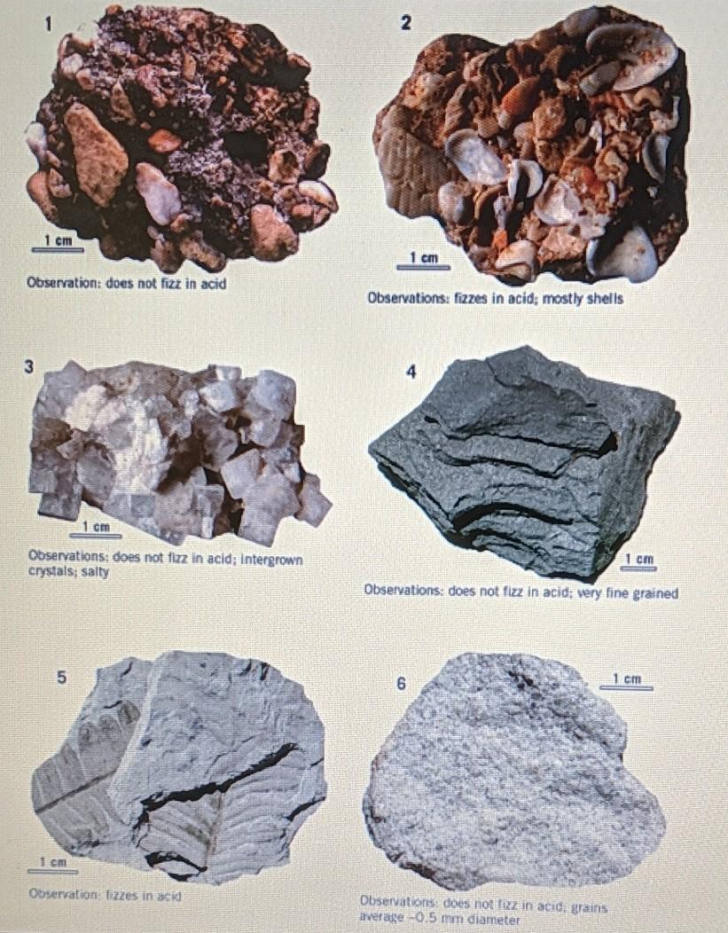Solved Sedimentary Rock Inquiry Name: Course/Section: Date: | Chegg.com
