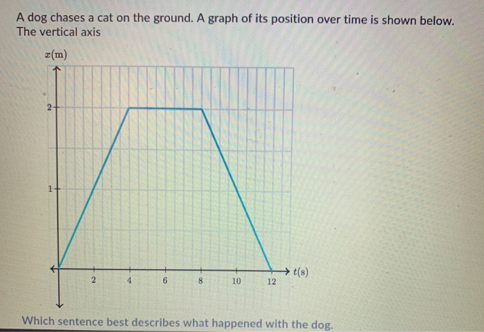 Solved A dog chases a cat on the ground. A graph of its | Chegg.com