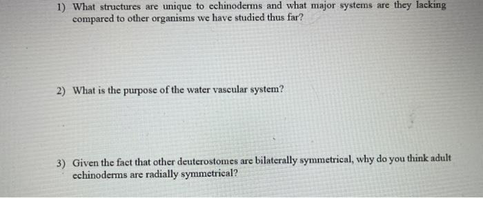 Solved 1) What structures are unique to echinoderms and what | Chegg.com