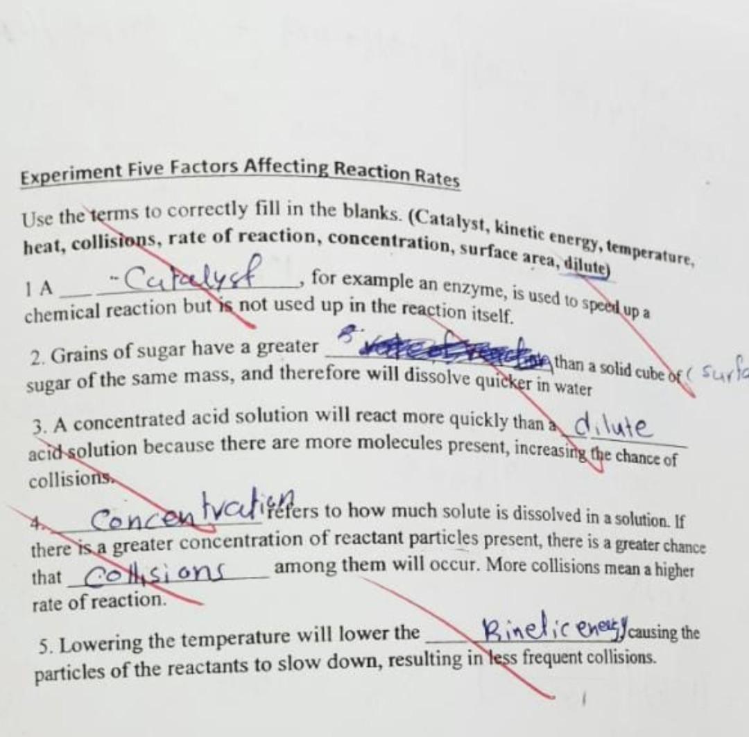Solved Experiment Five Factors Affecting Reaction Rates Use | Chegg.com
